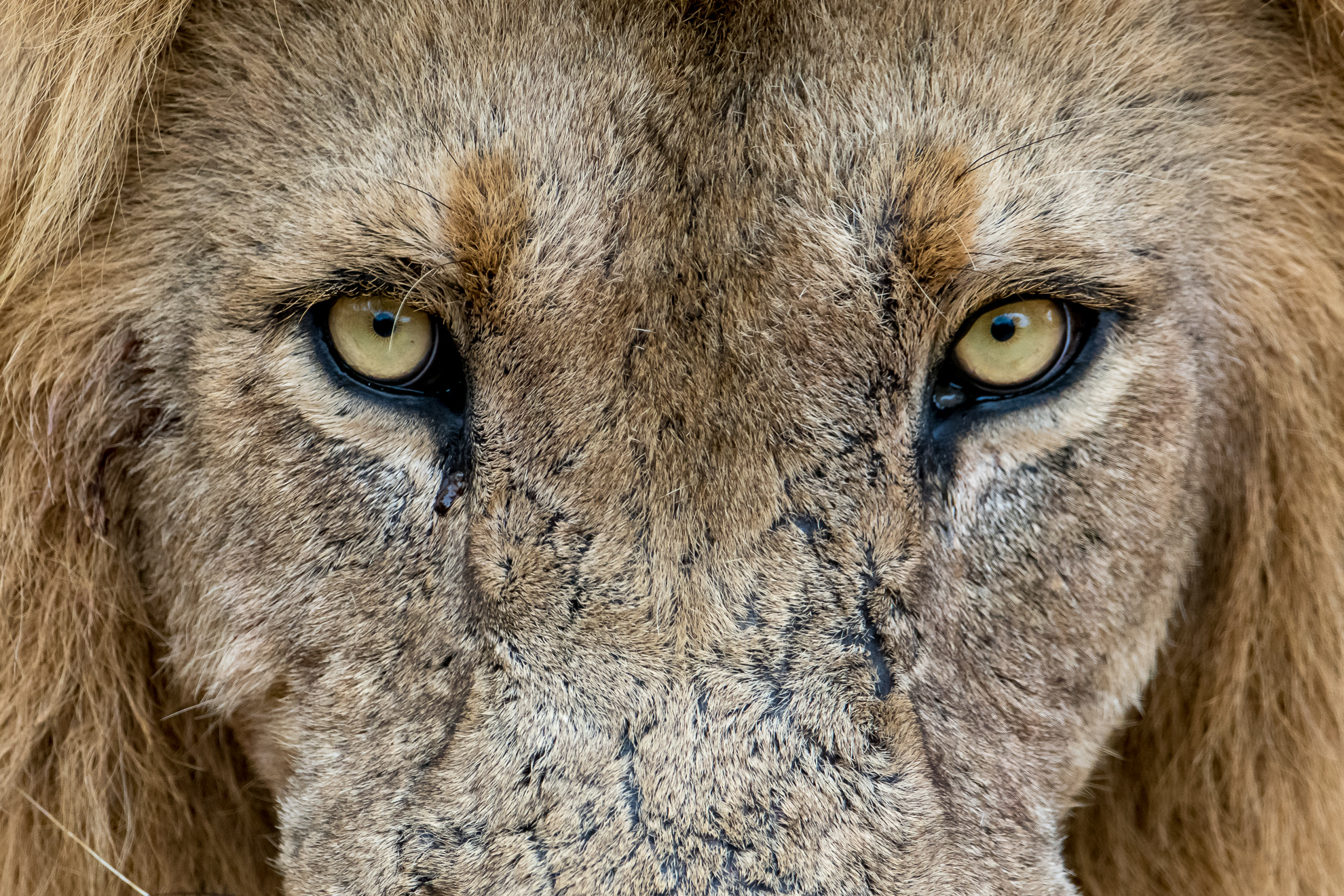 Using Power Automate To Be More Productive In Microsoft Teams